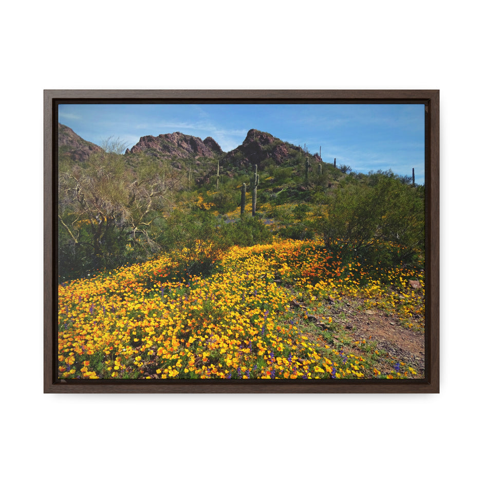 Capture the Beauty of Nature with Naturally Trailheaded